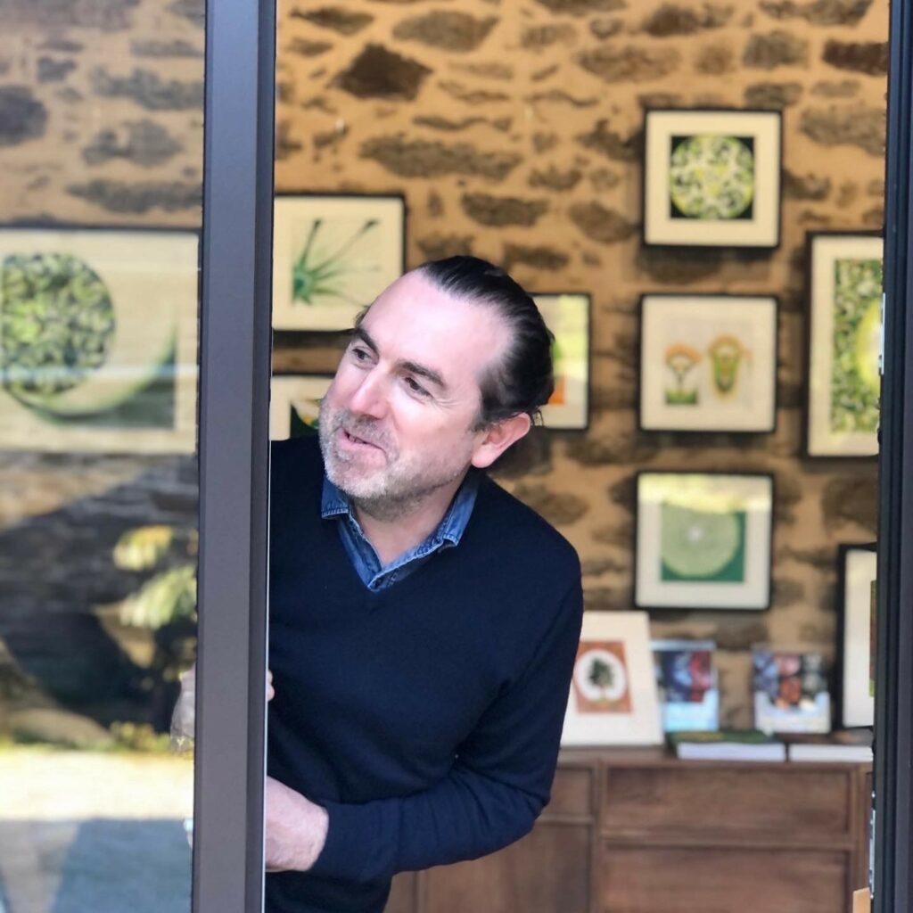 La Galerie David Balade - David Balade